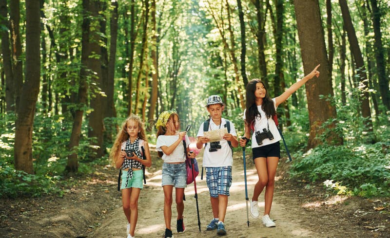 Searching for the Path. Kids Strolling in the Forest with Travel ...