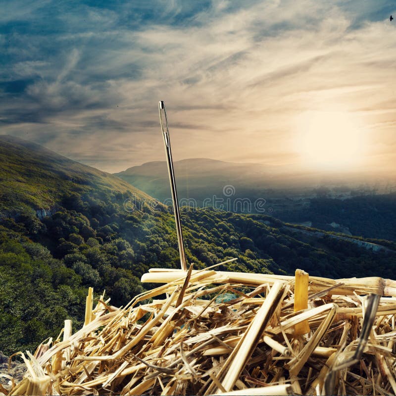 Needle in a Haystack stock image. Image of haystack, hard - 59995865