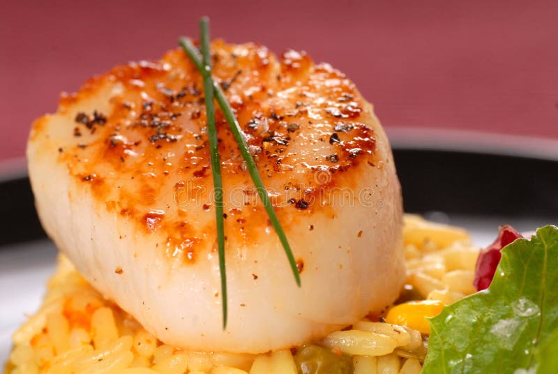 Seared Scallop on a Bed of Saffron Rice Stock Photo - Image of dinner ...