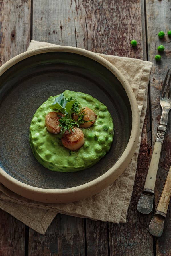 Seared Scallops with Pea Puree on a Plate Close View Stock Photo ...