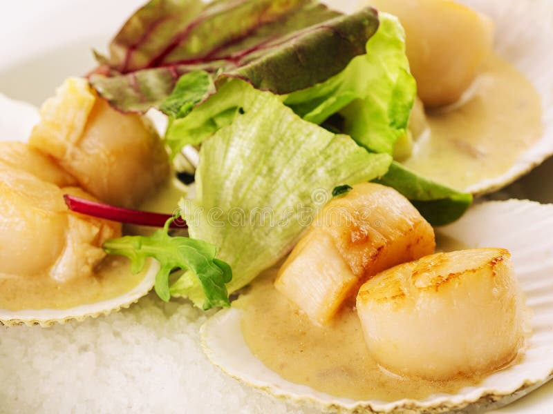Seared Scallops Shell with Butter and Lettuce Stock Image - Image of ...