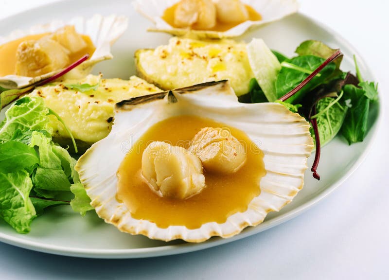 Seared Scallops Shell with Butter on Plate Stock Photo - Image of ...