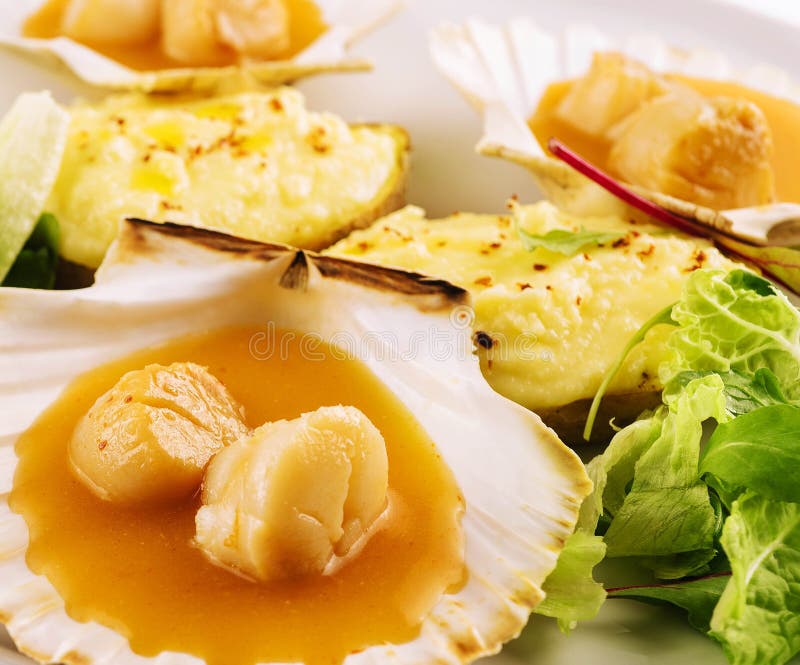 Seared Scallops Shell with Butter on Plate Stock Image - Image of ...