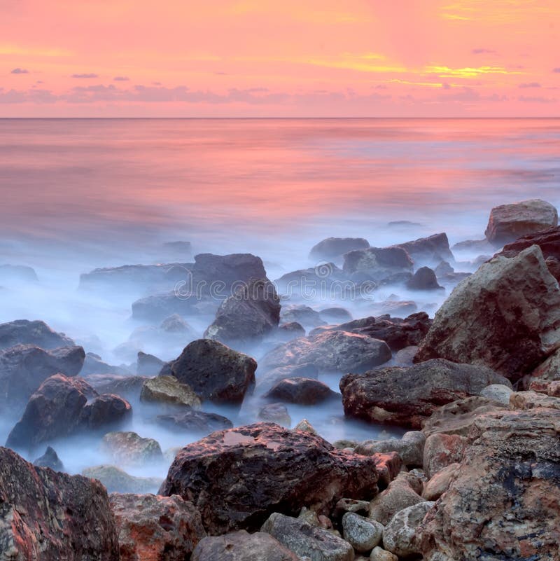 Shell stock photo. Image of caribbean, relax, beach, pretty - 8101710