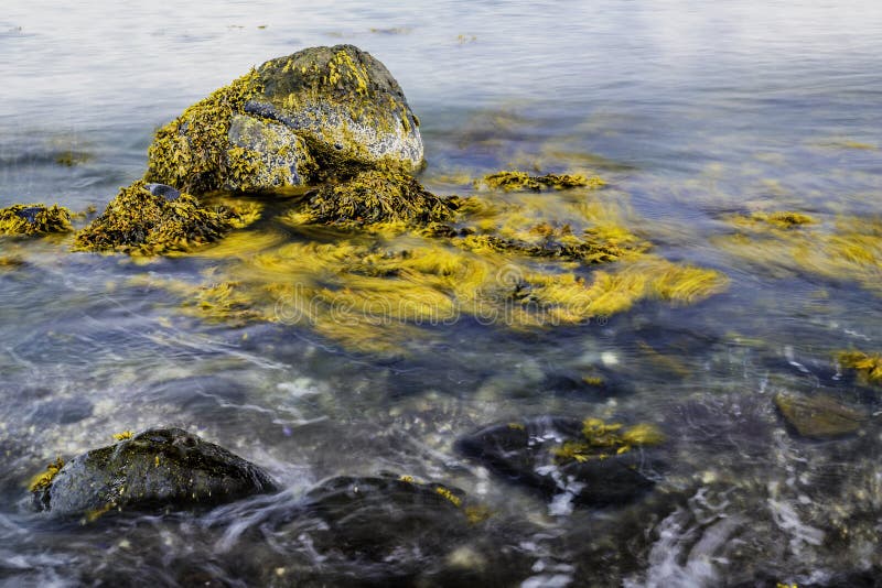 Seascape stock image. Image of scenic, peninsula, lava - 51837693