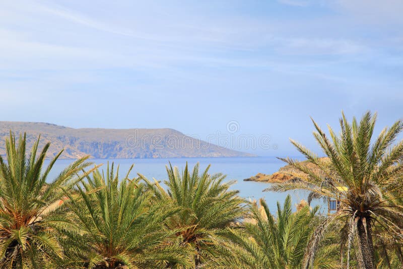 Seascape with Blue Sky, Sea and Trees Stock Image - Image of shore ...