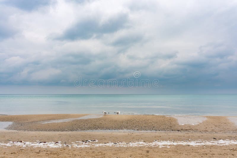 Seascape, Cold Cloudy Weather at Sea. Two Seagulls on a Sandy Beach ...