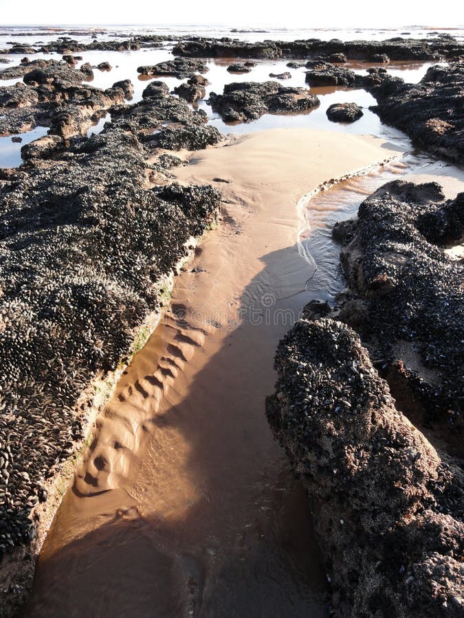 Seascape with Sand Ridges and Rock Pools Stock Photo - Image of ...
