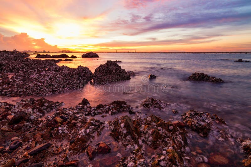 Seascape during sunset. stock image. Image of landscape - 65887975