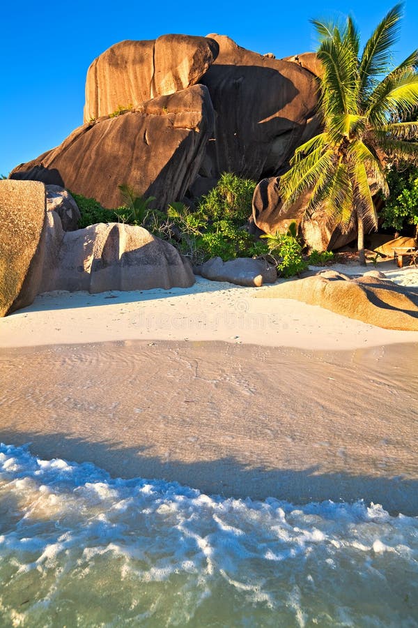 Seascape view stock image. Image of desert, palm, picturesque - 23568105