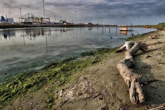 Seascapes de Tuscan foto de stock. Imagem de cedo, exterior - 81892092