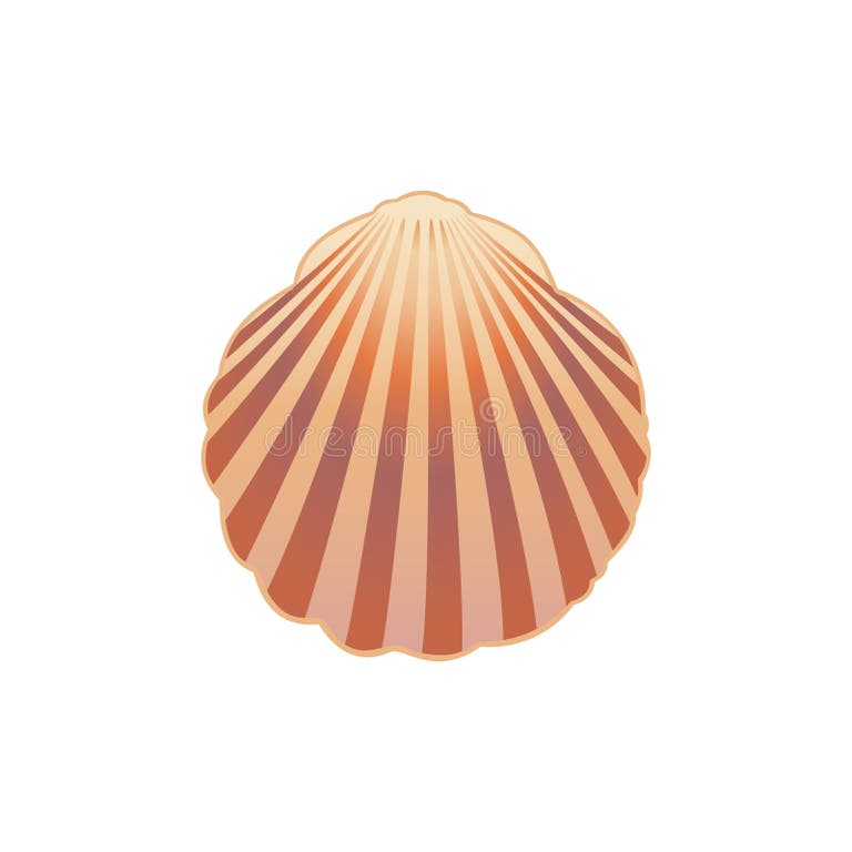 Realistic Seashell Stock Illustrations – 2,481 Realistic Seashell Stock ...
