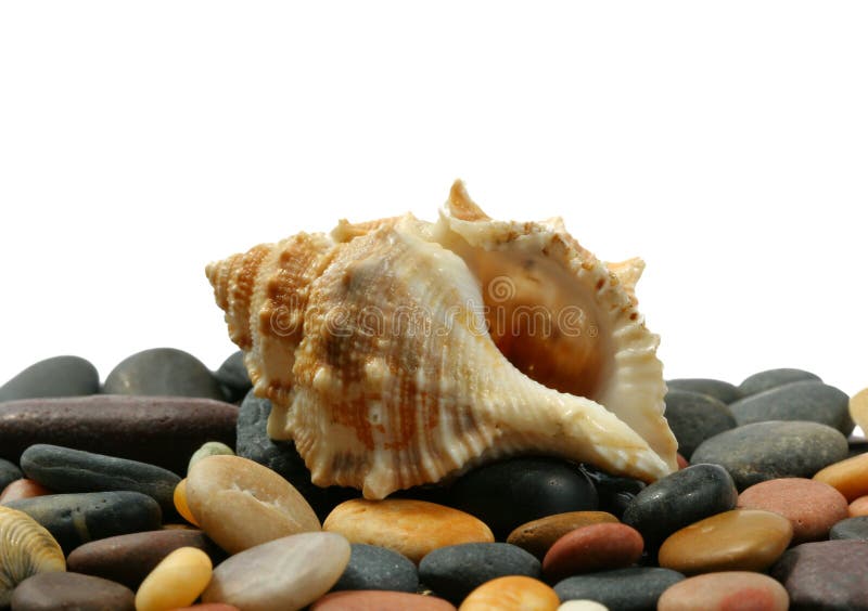 Colorful Seashell Reflection with Zen Pebbles Stock Photo - Image of ...