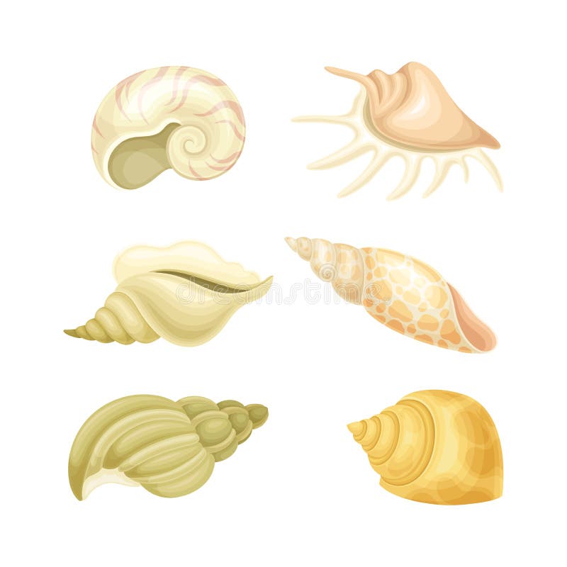 Seashell As Hard Marine Snail Shell Vector Set Stock Vector ...