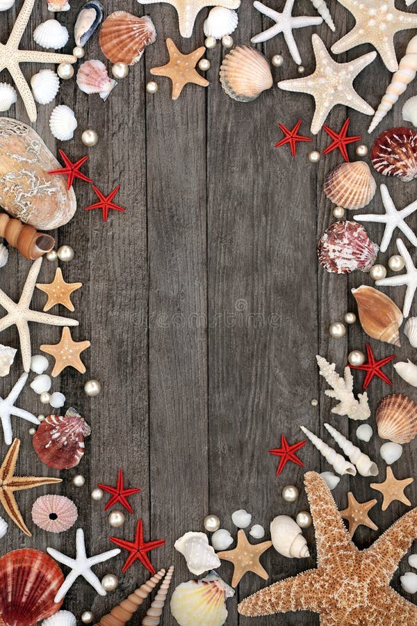 12,161 Seashell Border Stock Photos - Free & Royalty-Free Stock Photos ...
