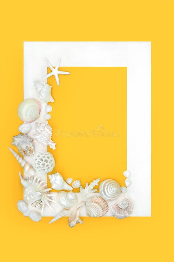 White Seashell Background Abstract Border Design Stock Photo - Image of ...