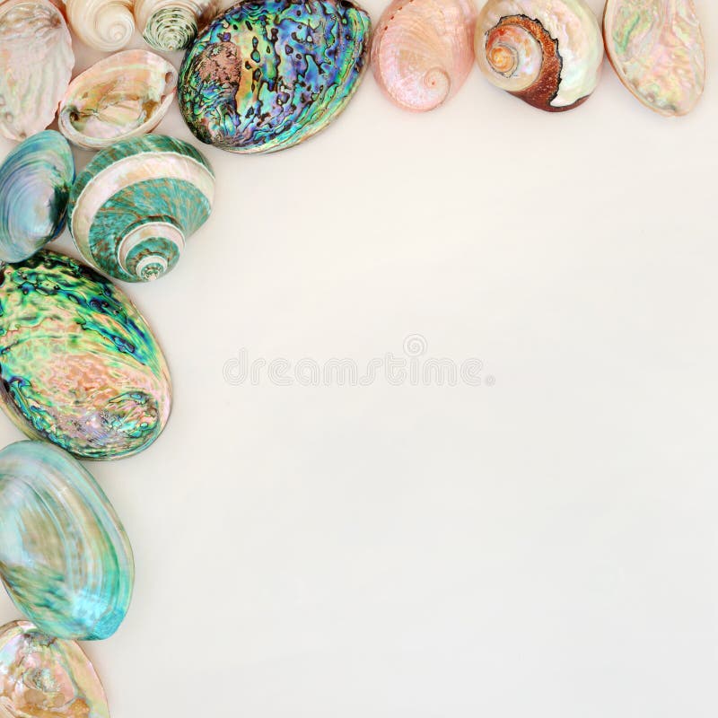Seashell Background Border stock image. Image of autumn - 133039767