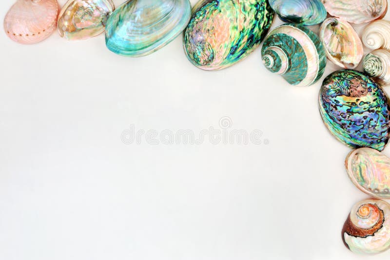 Seashell Background Border stock photo. Image of mother - 150217274