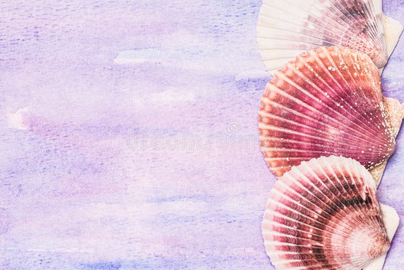 Seashell background. stock image. Image of frame, paper - 72703839