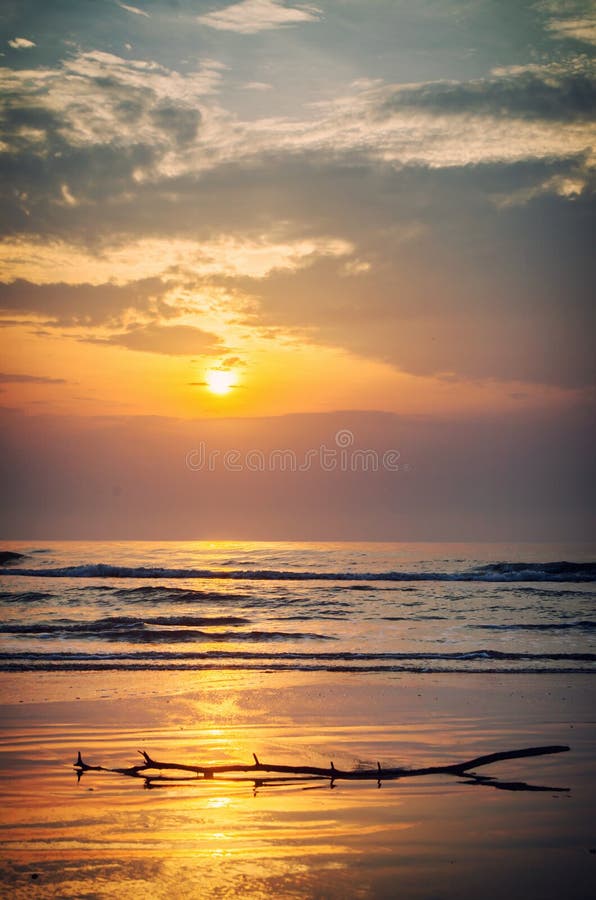 Seashell on the beach stock image. Image of sunrise - 123220505