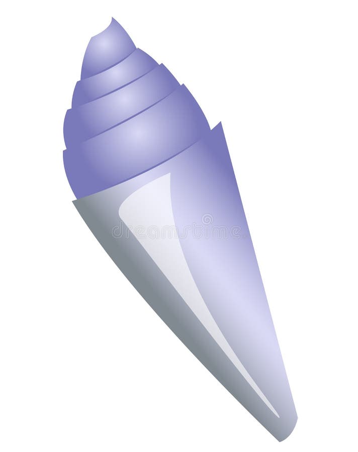 Seashell stock vector. Illustration of vector, cone, long - 55312954