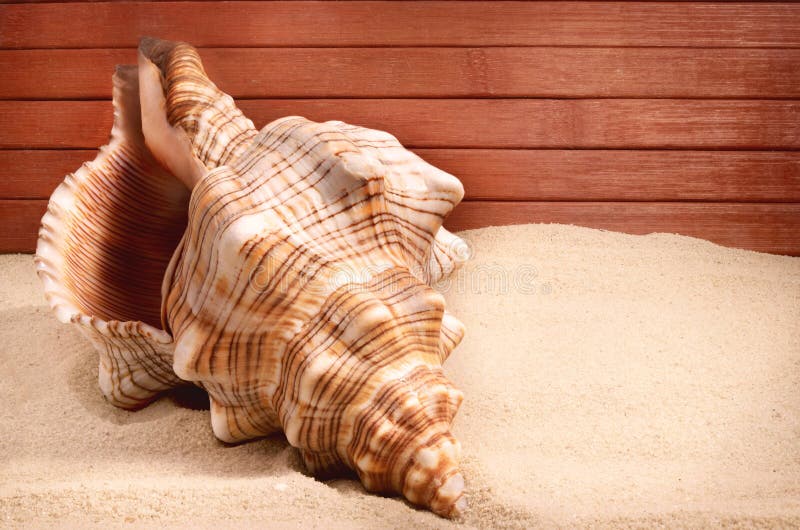 Terrace rice fields stock photo. Image of mountain, outdoor - 24439220