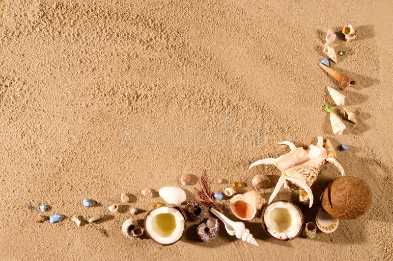 Seashell Border. stock illustration. Illustration of blank - 35201682
