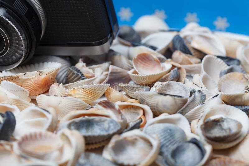 Seashell and Camera on the Beach - Vacation and Travel Concept Stock ...