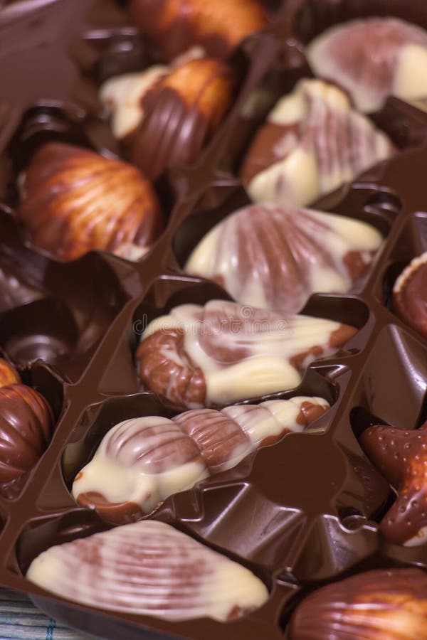 Seashell Chocolates stock photo. Image of assorted, brown - 65321020