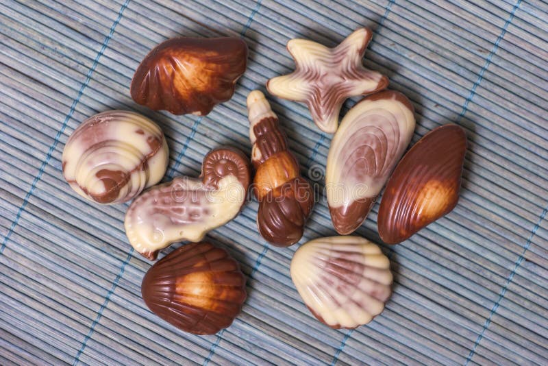 Seashell Chocolates stock image. Image of treat, candy - 65321161