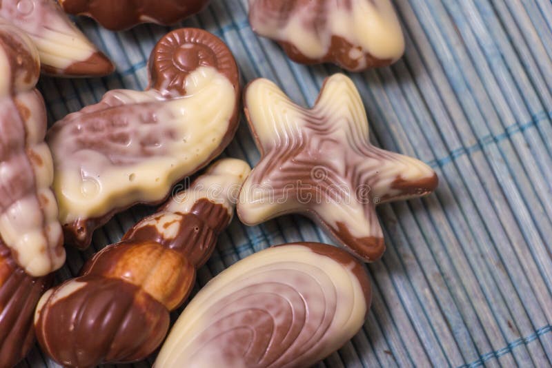 Seashell Chocolates stock photo. Image of delicious, food - 65321122