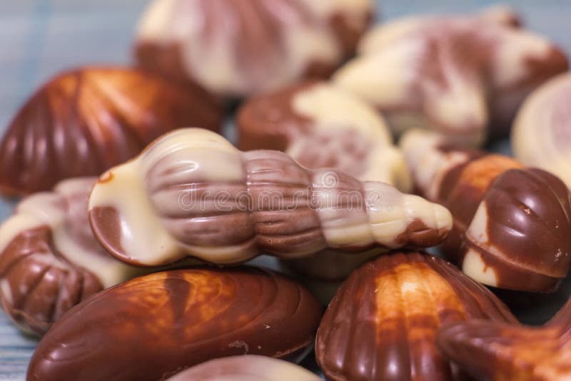 Seashell Chocolates stock image. Image of objects, treat - 65321159