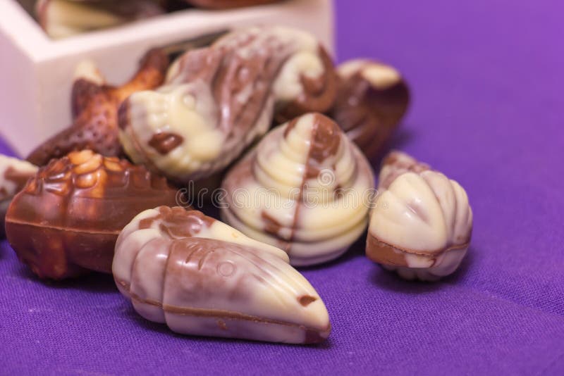 Seashell Chocolates stock image. Image of nobody, delicious - 65321161