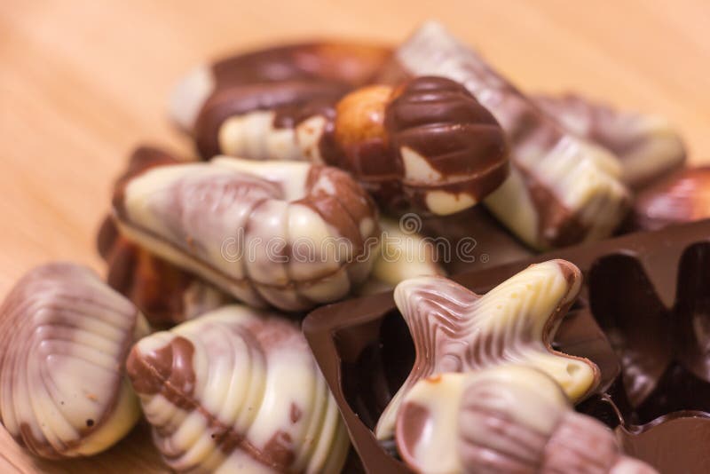 Seashell Chocolates stock image. Image of food, objects - 65321201