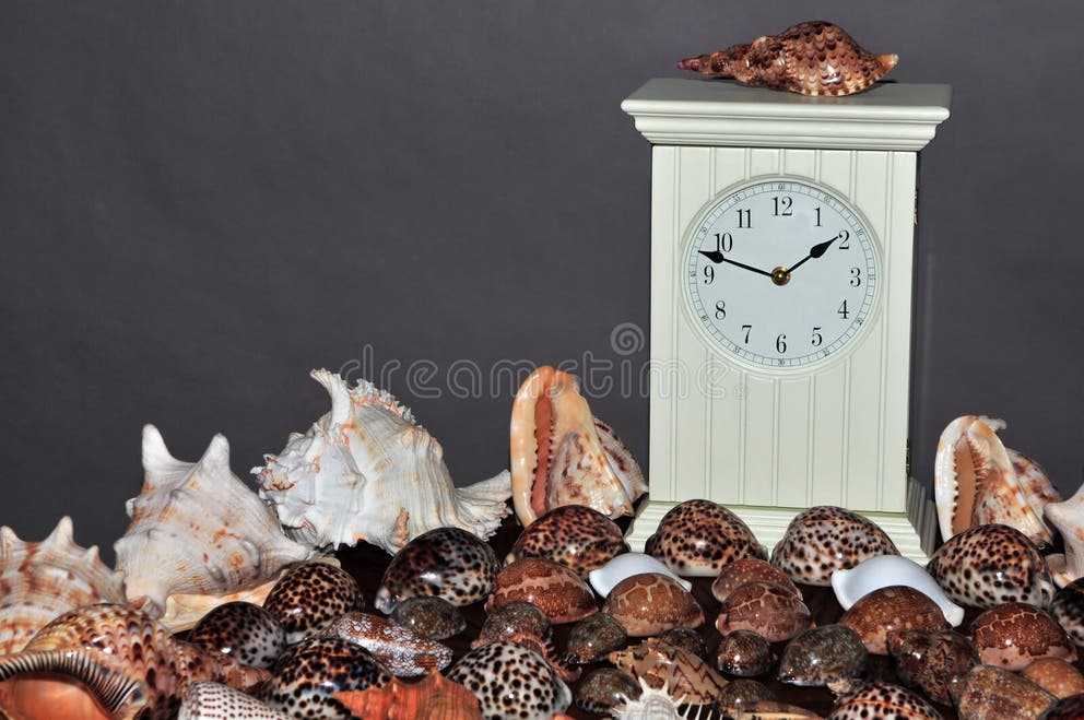 Seashell Collection with Clock 3 Stock Photo - Image of murex, cowerie ...