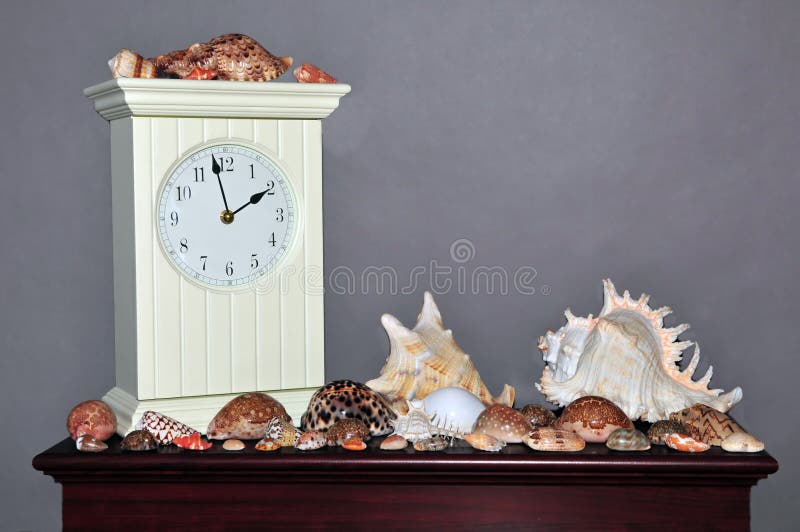 Seashell Collection with Clock on Shelf Stock Image - Image of triton ...