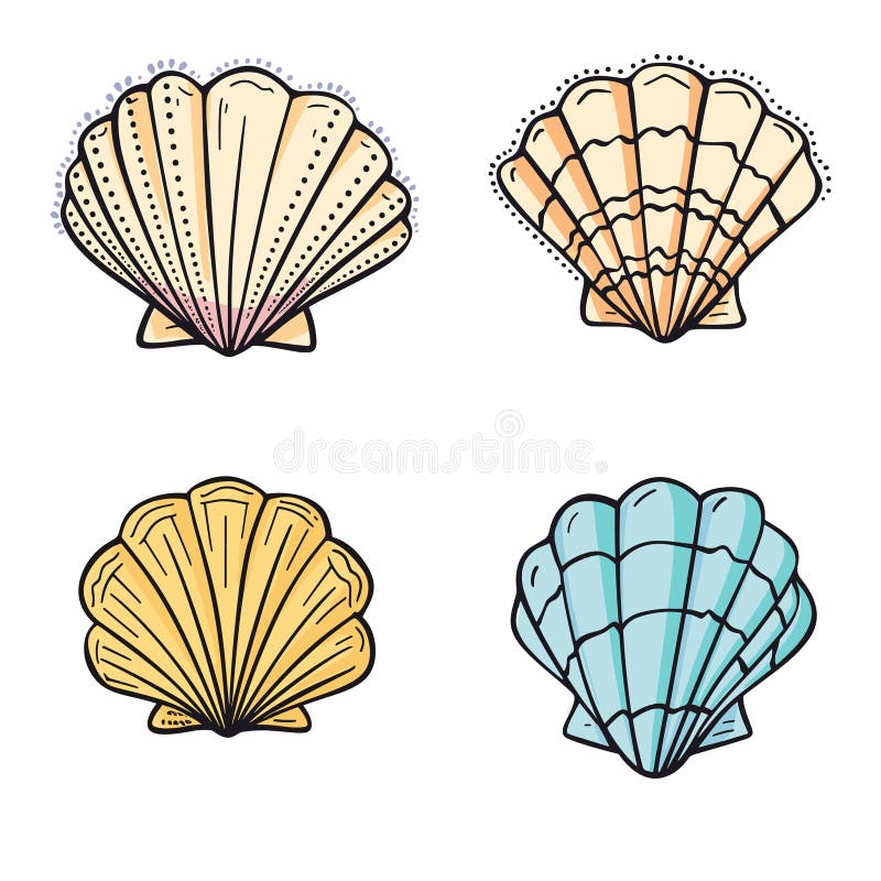 Seashell Collection Features Various Colorful Scallop Shells. Set Sea ...