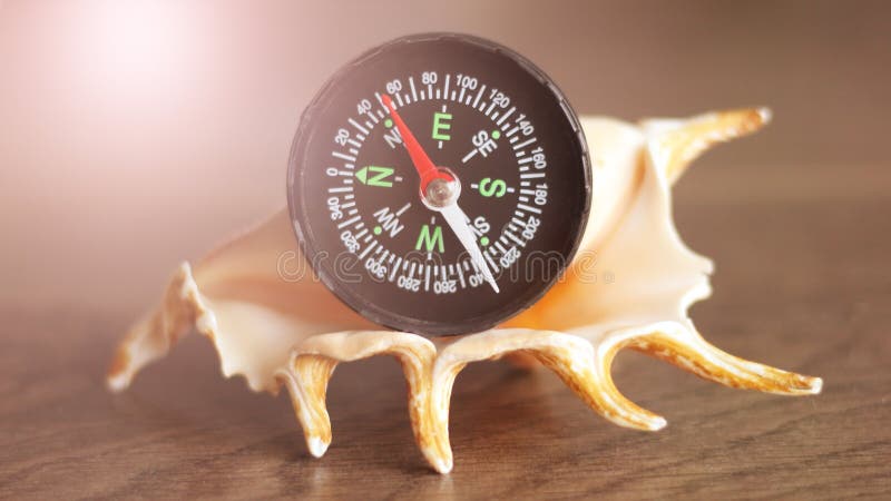 Seashell and Compass. Beautiful Sea Composition with Shells and Vintage ...
