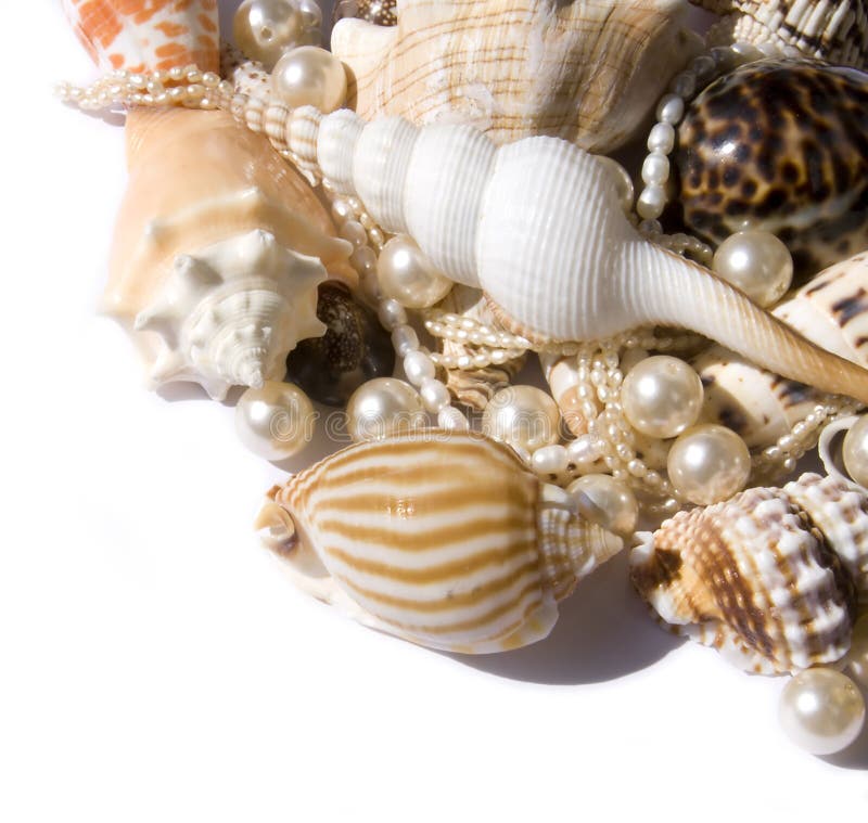 Fondo Del Seashell Con Las Perlas Foto de archivo - Imagen de copia ...