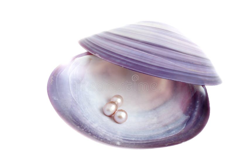 Seashell con las perlas foto de archivo. Imagen de lujo - 26587846