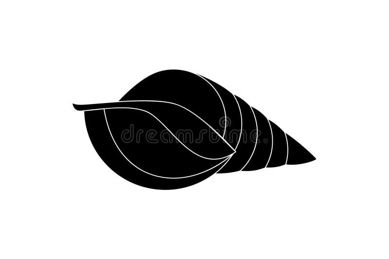 Conch Seashell Icon Vector stock vector. Illustration of shells - 304472614