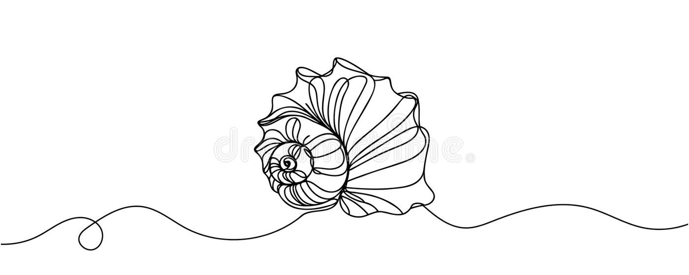 Seashell Line Drawing Stock Illustrations – 4,908 Seashell Line Drawing ...