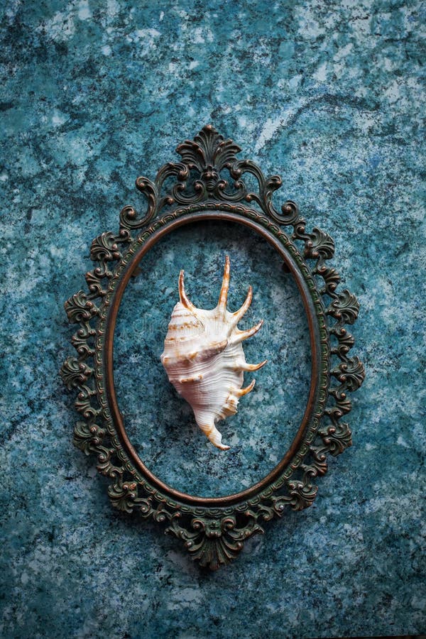 Seashell in a Copper Oval Frame with Baroque Patterns on a Blue ...