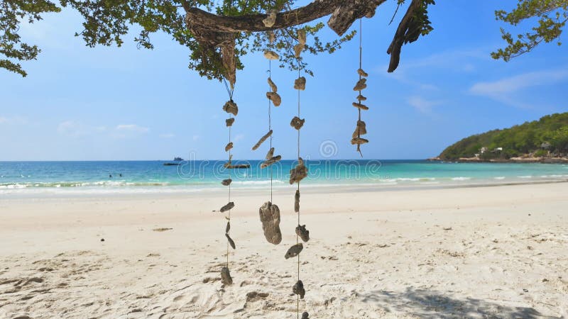 Seashell and Coral Strings Hang from a Tree Framing a Tranquil Tropical ...