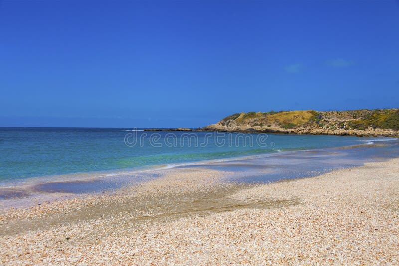 Seashell-covered Beach and Distant Horizon Stock Photo - Image of ...