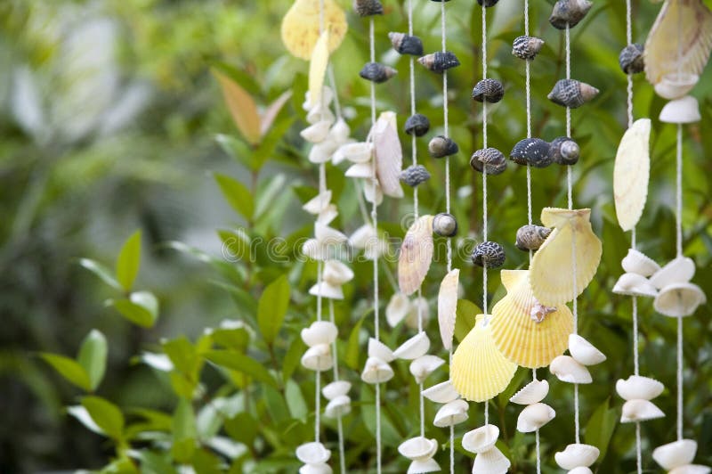 Seashell decoration stock image. Image of hanging, green - 21244217