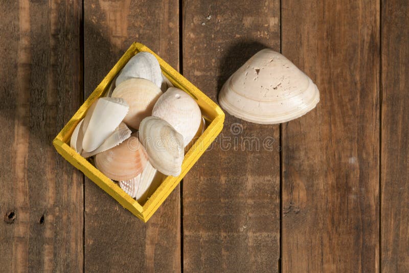 Seashell Decoration in a Yellow Box, Stock Photo - Image of seashell ...