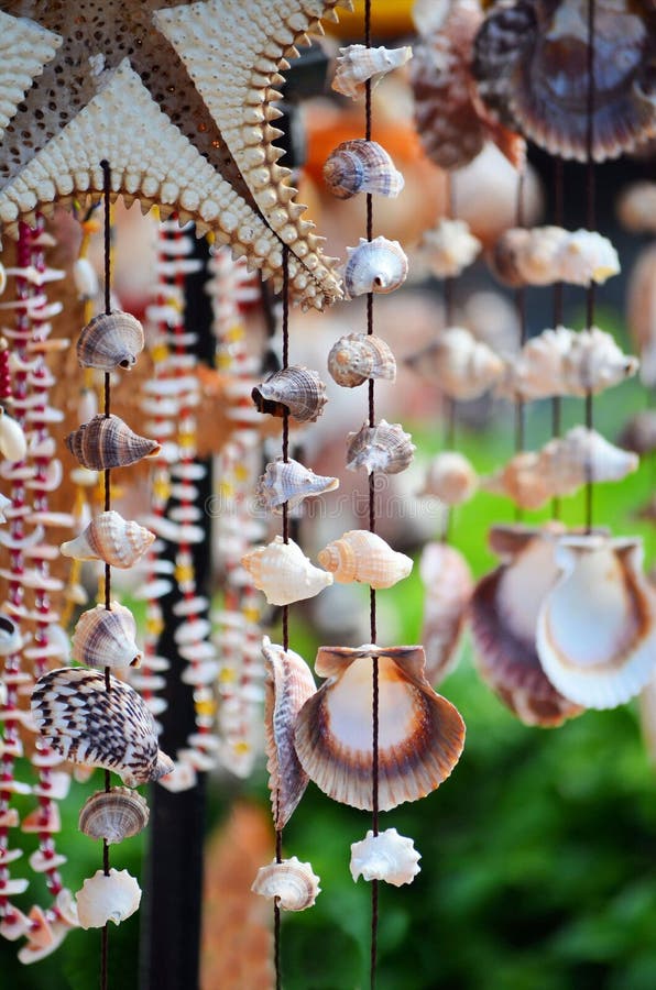 Seashell Decorations stock photo. Image of white, cream - 3788574
