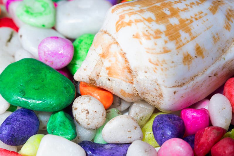 Spiral Seashell and Stones stock photo. Image of beach - 48048260