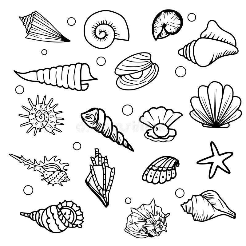 Seashell Doodle Clipart Element Bundles Vector Illustration Stock ...